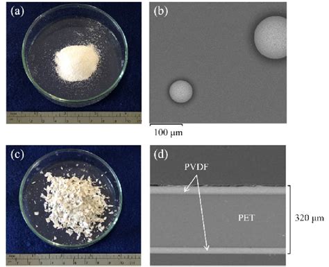 A Reagent Polyvinylidene Fluoride Pvdf Powder B Scanning Electron