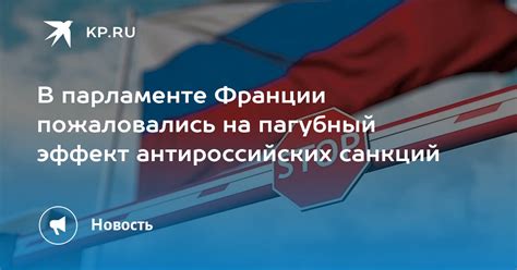 В парламенте Франции пожаловались на пагубный эффект антироссийских санкций Kp Ru