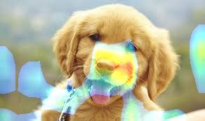 Class Activation Maps In Keras For Visualizing Where Deep Learning Networks Pay Attention