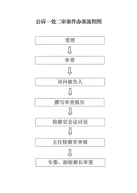 公诉一处二审案件办案流程图