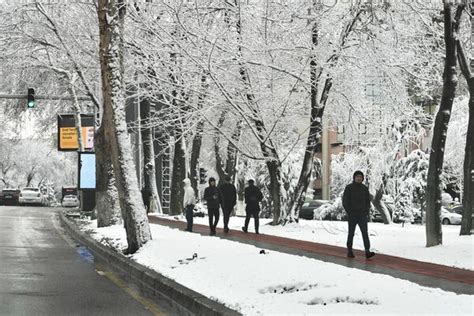 Qor Bo‘ronidan Keyingi Toshkent — Foto