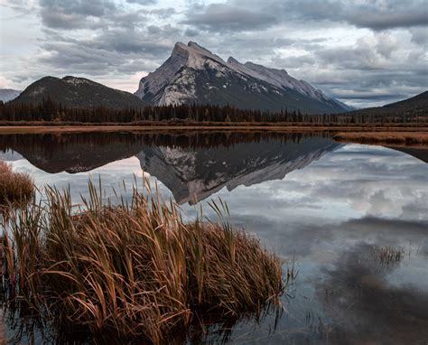 Reflection Scrolller