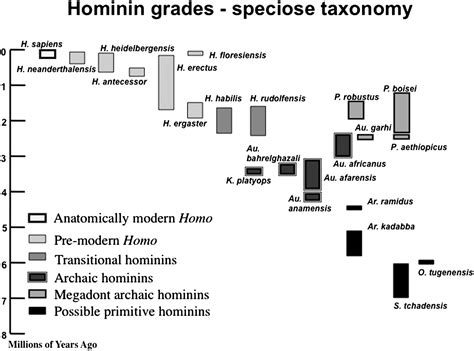 Reconstructing Human Evolution Achievements Challenges And