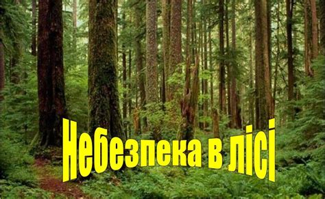 Дошкільний підрозділ Херсонського НВК № 9 Дистанційне навчання