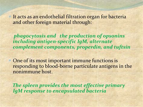 Ppt Post Splenectomy Infection Powerpoint Presentation Free Download