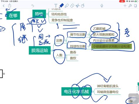 生理第二章细胞1 哔哩哔哩 bilibili