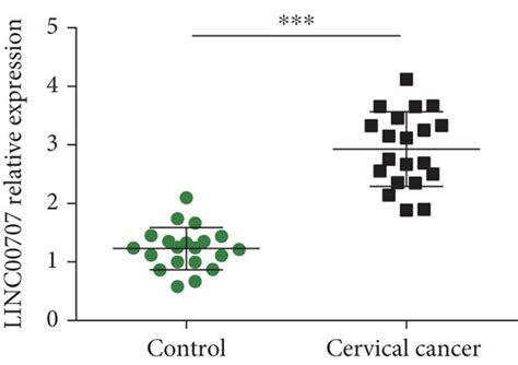 LINC00707 Was Increased In Cervical Cancer A RT PCR Indicated The