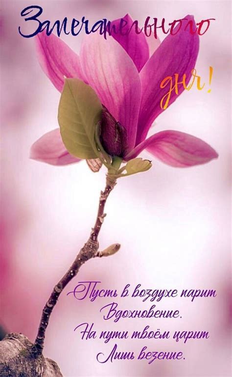 Пин на доске доброе утро в 2024 г Счастливые картинки Винтажные чаепития Праздничные открытки