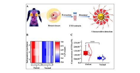 Construction Of A Quantum Dot Based Fret Nanosensor Through Direct