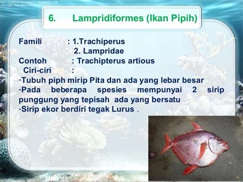 Pisces Class