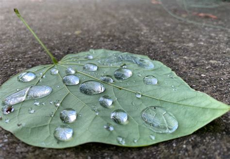 Why Outdoor Learning — Learning Withoutdoors