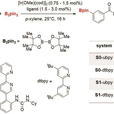 Iridium Iii Catalyzed Meta C Sp² H Borylation Of Aryl Amides Using B2pin2 Download