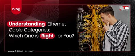 Understanding Ethernet Cable Categories Which One Is Right For You Turnstone Cables