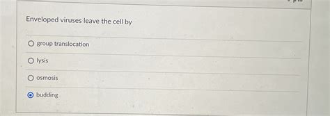 Solved Enveloped Viruses Leave The Cell Bygroup Chegg