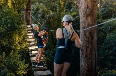 Tree Top Challenge At The Big Pineapple High Ropes Course