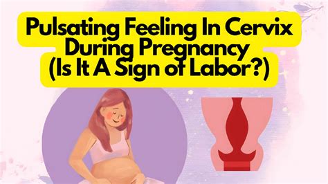 Pulsating Feeling In Cervix During Pregnancy Is It A Sign Of Labor