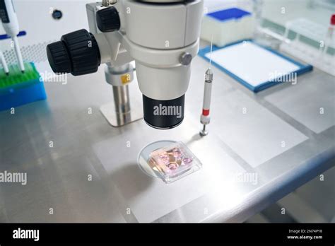 Laboratory Devices For The Procedure Of Artificial Insemination Stock