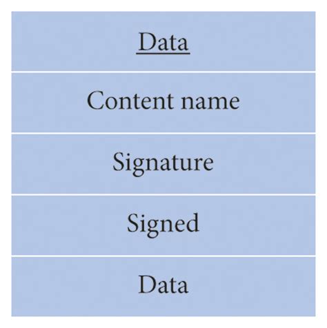 A Interest Packet And B Data Packet Download Scientific Diagram