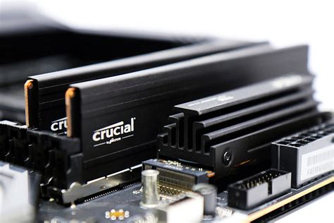 마이크론 Crucial Ddr5 5600 에누리 쇼핑지식 리뷰