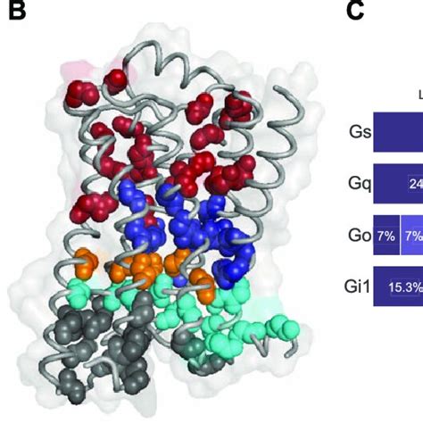 Structural Analysis Of Molecular Pathways That Are Observed Upon