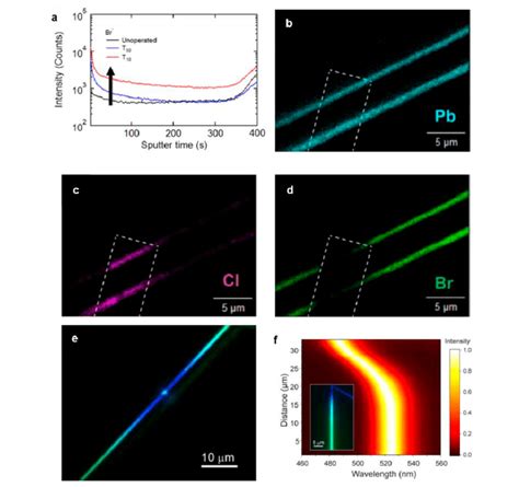 3 Evidence Of Ions Migration A Ion Distribution Of Br − Anion With