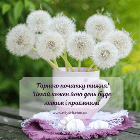З добрим ранком цитати та побажання на кожен день тижня Твій Світ
