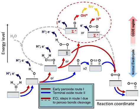 Schematic Of Oxygen Evolution Pathways During Pep As Described By Download Scientific Diagram