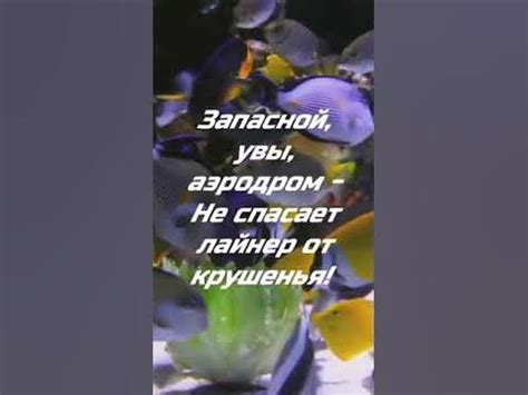 вытирайте ноги, господа! - YouTube