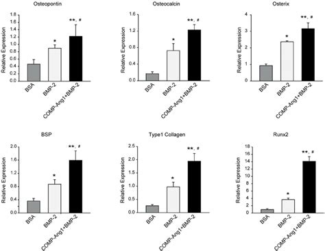 Real Time RT PCR Analyses Of Genes Related To Osteogenesis Tissues