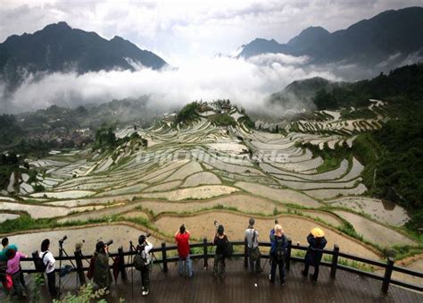 Yunhe Rice Terraces Photos Lishui Zhejiang