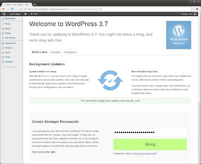 Bitnami Wordpress Stack On Aws Hmnipod