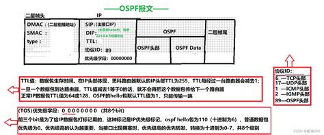 Ospf —— Ospf协议分析（ospf报文详解）ospf报文目的地址 Csdn博客