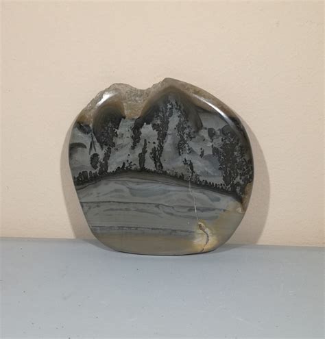 Cotham Marble Stromatolite Fossilised Algae Polished Freeform Finest Fossils