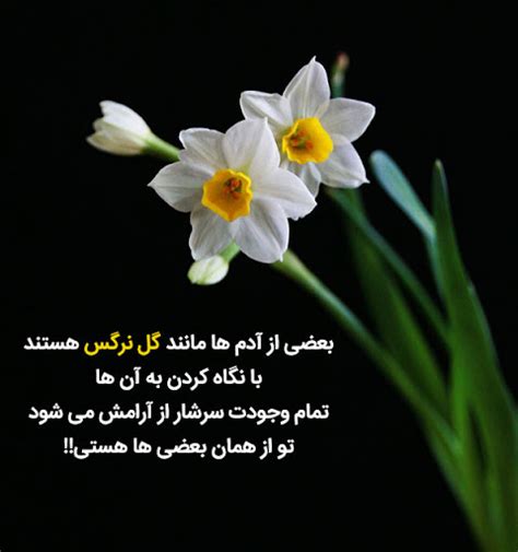 متن در مورد گل و تنهایی 🥀 جملات کوتاه و بلند در مورد گل و غم تنهایی