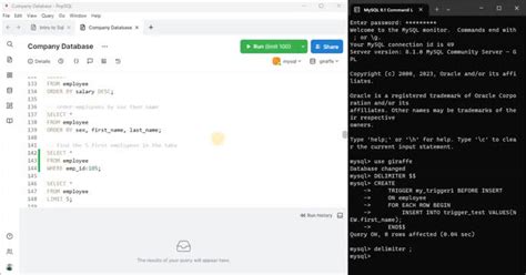 Completed Freecodecamp Sql Course On Rdbms And Nrdbms Yasmine Jedidi