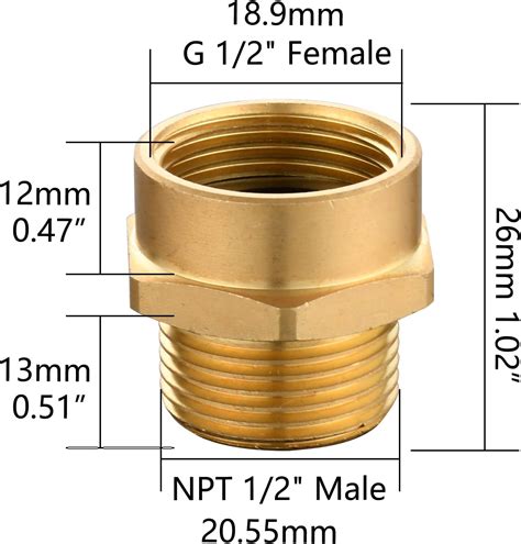 Tecmolog Conector De Accesorios De Tubería De Latón G 12 Rosca Hembra
