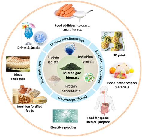 Schematic Of Microalgae Protein Potential Applications In Foods Download Scientific Diagram