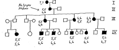 Achondroplasia Pedigree Chart