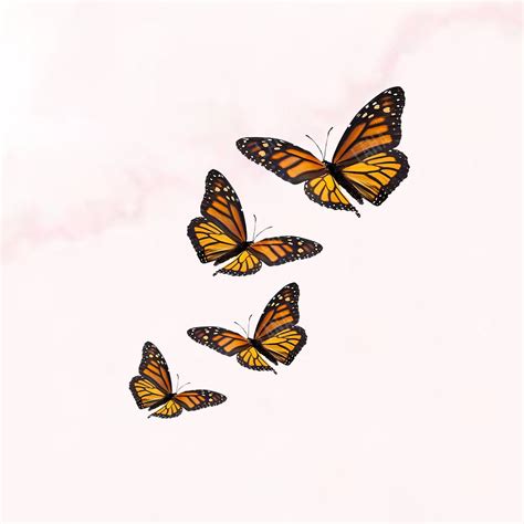 Monarch Butterfly Drawing Flying