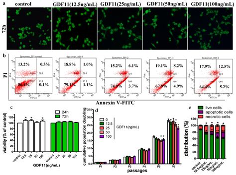 Gdf11 Induces Differentiation And Apoptosis And Inhibits Migration Of