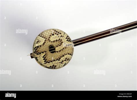 Erhu Detail Showing The Python Skin Covered Resonating Chamber The