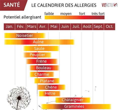 Alerte Maximale Aux Pollens De Bouleau Météo Express