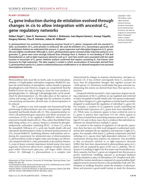 Pdf C Gene Induction During De Etiolation Evolved Through Changes In