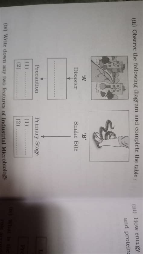 iii observe the following diagram and complete the table iii how en