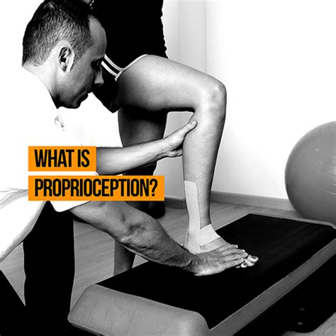 What Is Proprioception Physioroom Blog