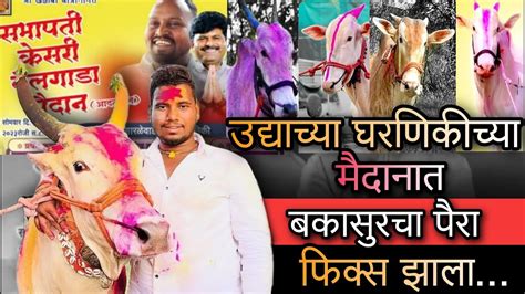 उद्याच्या घरणीकिच्या मैदानात बकासुरचा पैरा फिक्स झालाstclive