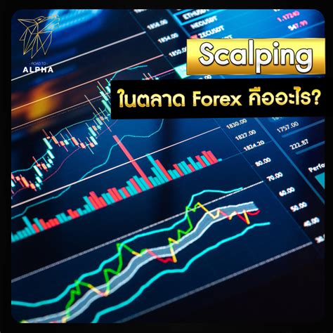 Scalping ในตลาด Alpha Academy สถาบันปั้นโปรเทรดเดอร์