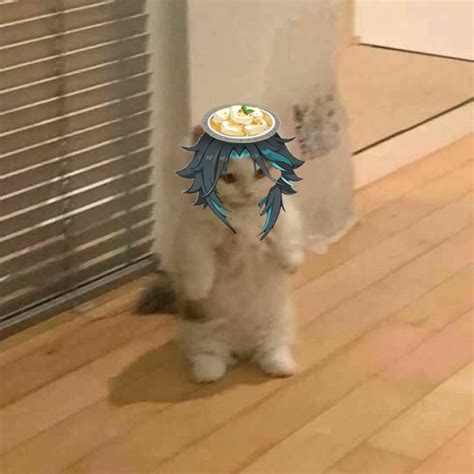 Xiao Cat Trong 2025 Hình ảnh Nhật Ký Nghệ Thuật Meme