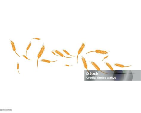 小麥背景範本向量圖形及更多健康飲食圖片 健康飲食 商品 小麥 Istock