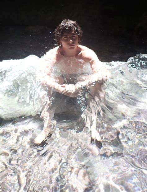 Timothée Chalamet Sets Thirst Trap With Shirtless Summer Photos Metro